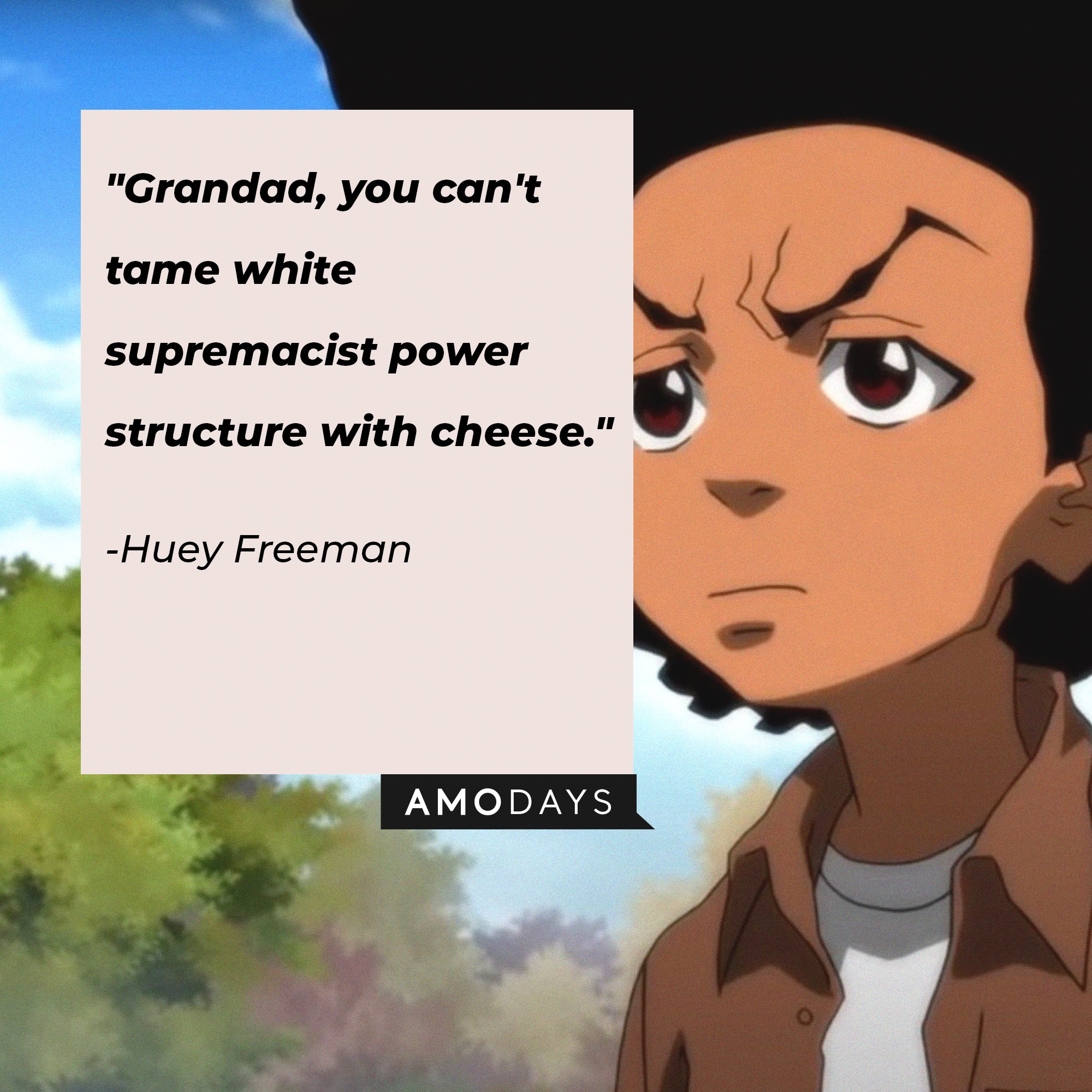 The Boondocks Quotes 115 Best Boondocks Quotes with Commentary The Boondocks Quotes 115 Best Boondocks Quotes with Commentary