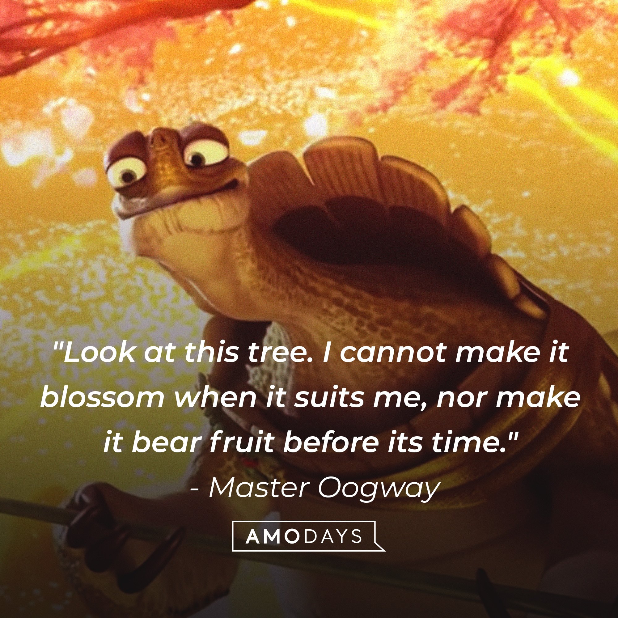 40 Master Oogway Quotes Infinite Wisdom From The Kung FU Panda Tortoise 40 Master Oogway Quotes Infinite Wisdom From The Kung FU Panda Tortoise